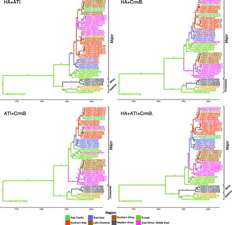 Time Rooted Phylogenetic Characterization Of Multilocus Models Of Ha Download Scientific