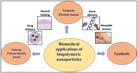 Biodegradable Biopolymeric Nanoparticles For Biomedical Applications Challenges And Future Outlook