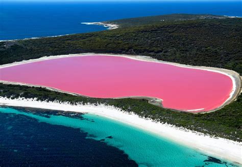 Where Is The Pink Lake In Australia Full Tour Guide