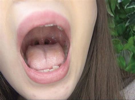 100人のおくち 第9集 アダルト動画 Duga