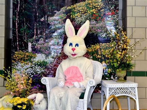 Easter Bunny Hopping Into Willowbrook Mall Heres When Wayne Nj Patch