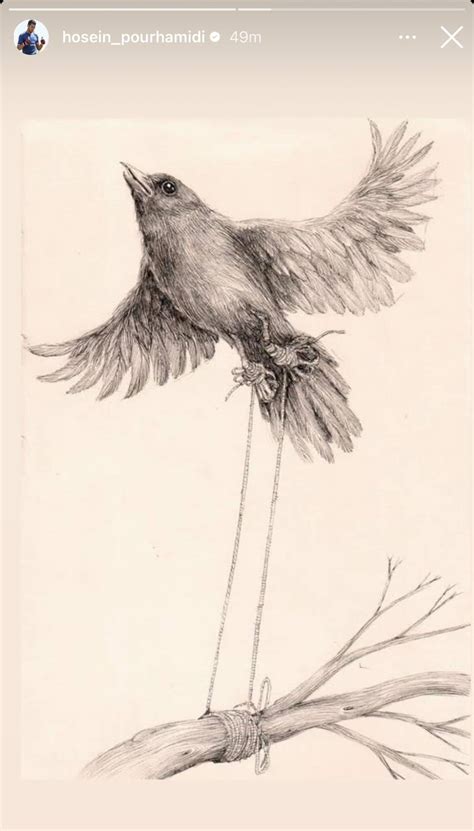 استوری عجیب حسین پورحمیدی؛ پرنده‌ای با پاهای در بند عکس فوتبالی