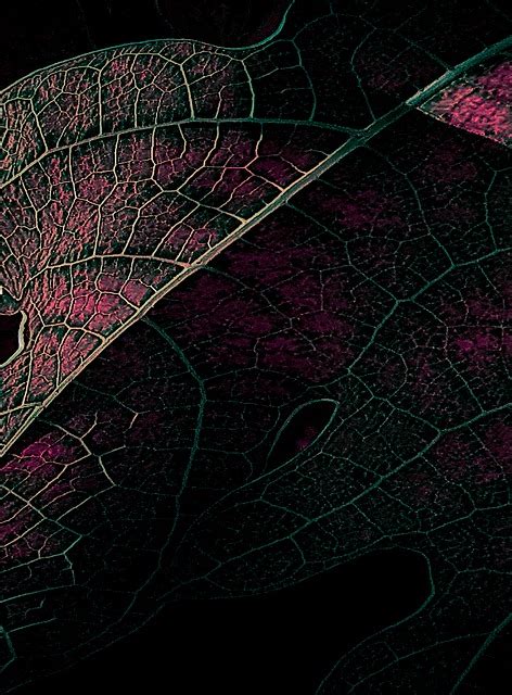 Web Design Nature Free Photo On Pixabay Pixabay