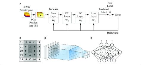 Schematic Of The Proposed Cnn Classification A Semg Is Segmented