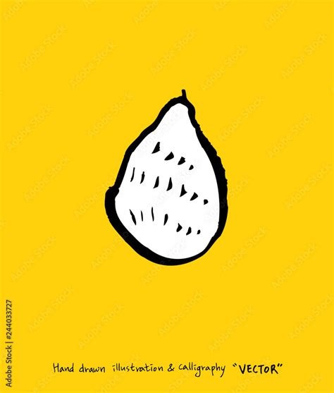 Стоковое векторное изображение 농산물 일러스트 손으로 그린 과일과 채소 그림 Adobe Stock