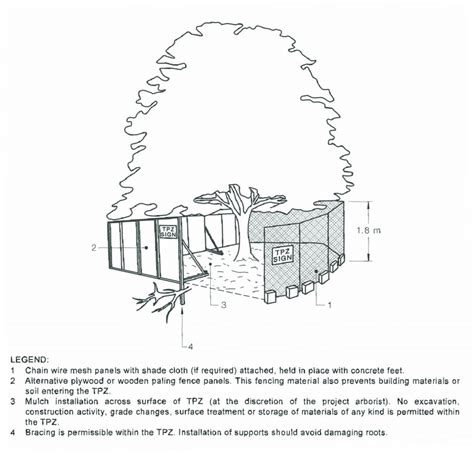 How To Measure Tree Protection Zone At Missy Lynch Blog