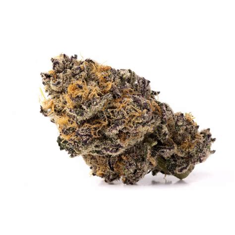 Gentlemen Smugglers Peanut Butter Breath For Sale Northampton Ma