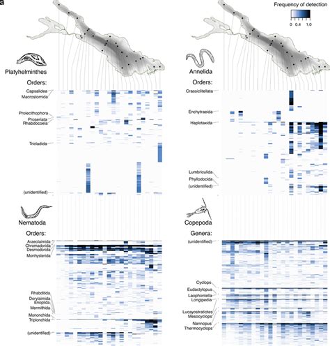 Distribution Pattern Of Aquatic Organisms A Heatmaps Showing The Download Scientific Diagram