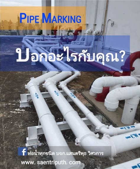 Saentriputh Engineering