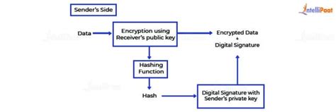 Digital Signature In Cryptography What Is Types And Algorithms
