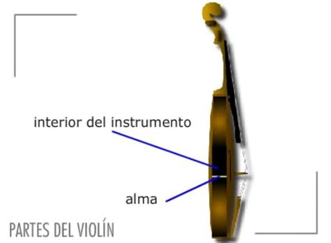 Parts Of A Violin Labeled Diagram