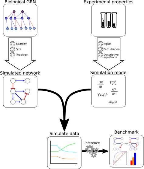 Figure 1 From In Silico Modelling For Refining Gene Regulatory Network Inference Semantic Scholar