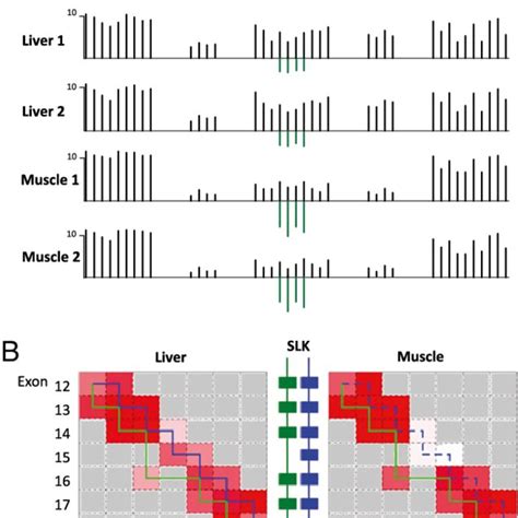 Design Of The Gg H Human Transcriptome Array For Comprehensive