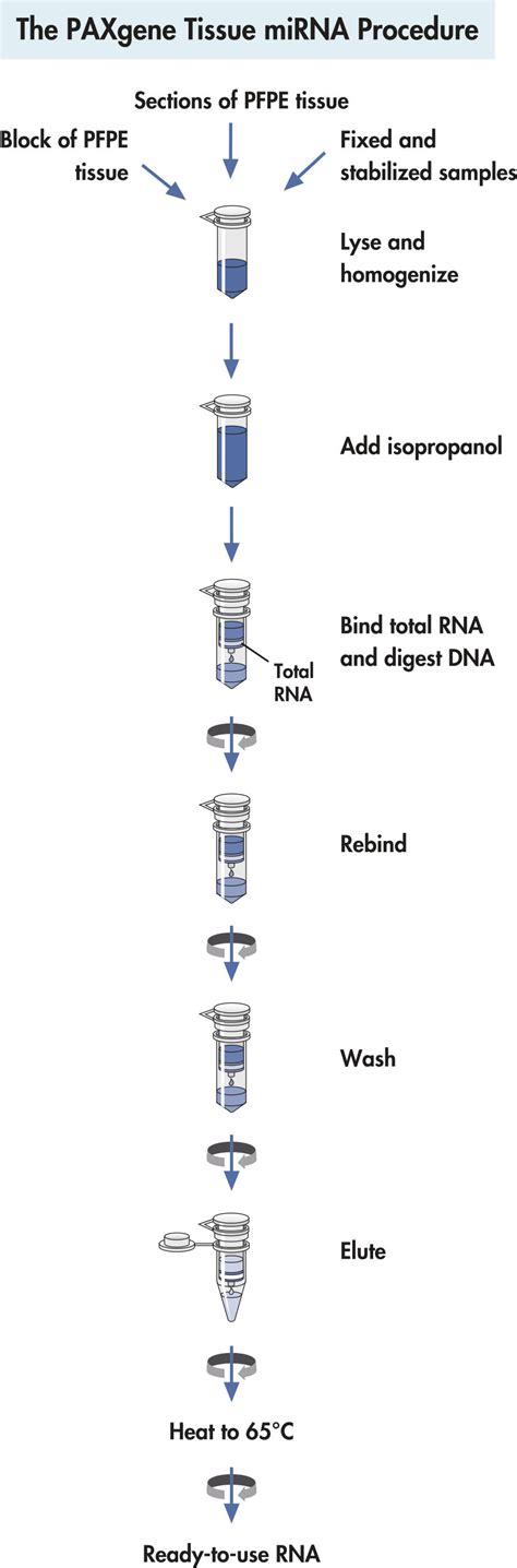 Rna Isolation Kit Neb At Nikia Perkins Blog