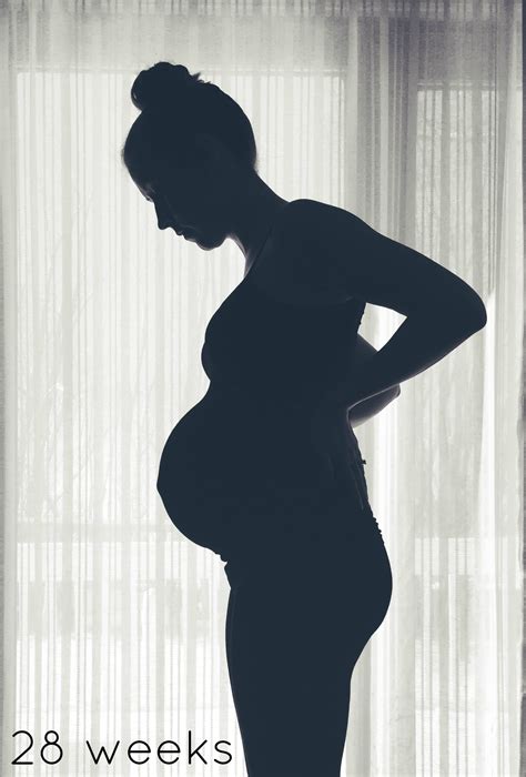 28 Weeks Pregnant The Maternity Gallery