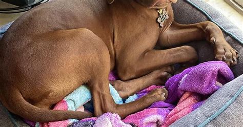 Chloe Album On Imgur