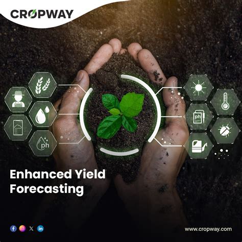 Transforming Agriculture With Big Data Analytics Cropway 2025