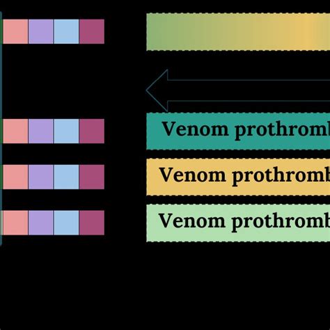 Example Of Representative Description Extraction According To The