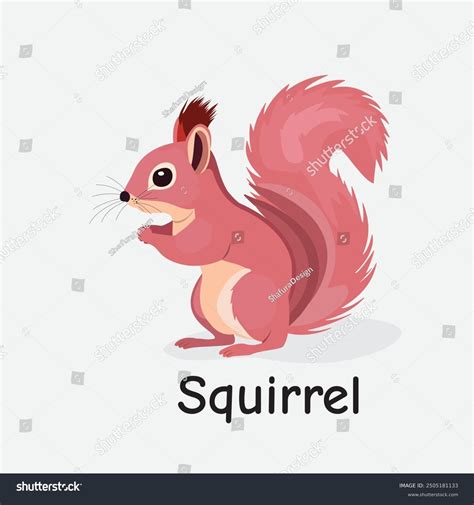 Squirrel Vector Illustration Gathering Nuts Stock Vector Royalty Free 2505181133 Shutterstock