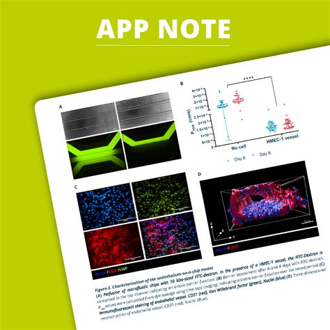 App Note Transendothelial Migration Of T Cells In A Microfluidic 3d Endothelium On A Chip Model