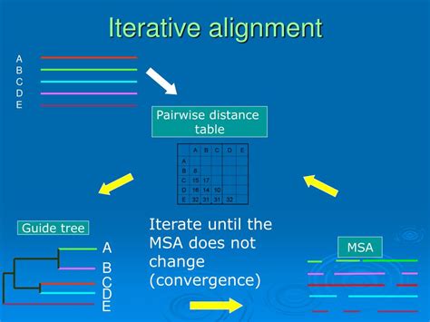 Ppt Pairwise And Multiple Sequence Alignment Lesson 2 Powerpoint