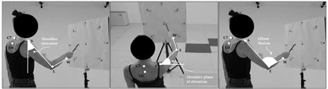 Marker Positioning And Articular Angles Markers Were Placed On D5 And