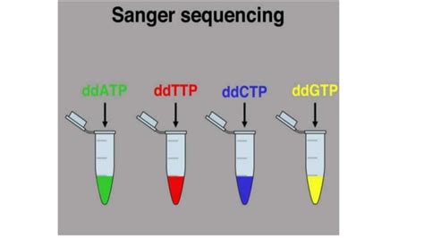 Dna Sequencing Techniques Pptx