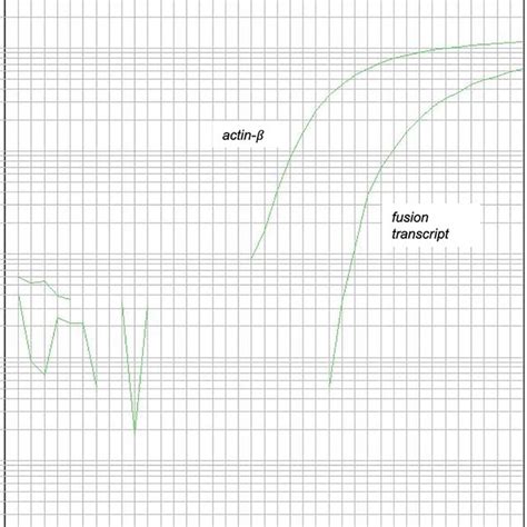 Detection Of The Fusion Transcript Using Real Time Pcr The