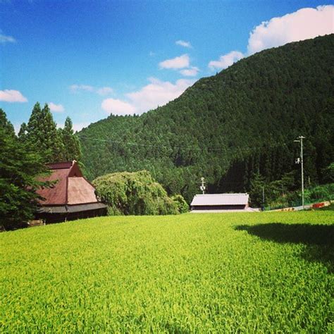 稲とお寺と青空 宇陀市室生美しい風景が残る山あい ののどかな集落です small life Flickr