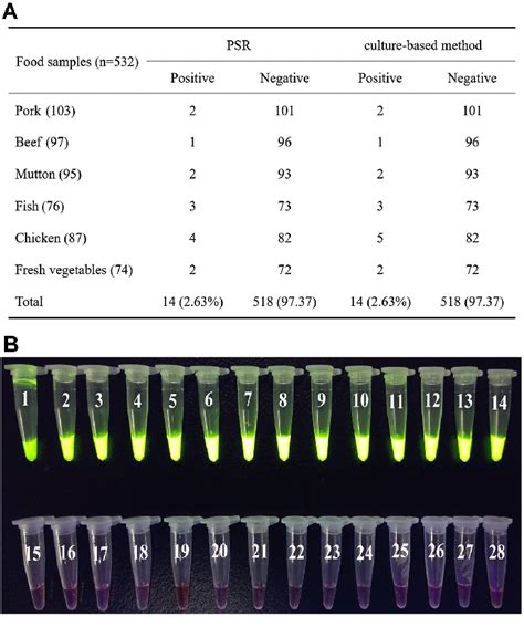 Detection Results Of Salmonella By Culture Based Method And Psr A Download Scientific