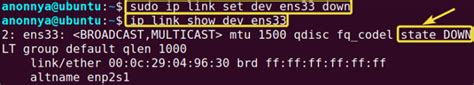 The Ip Command In Linux 9 Practical Examples LinuxSimply