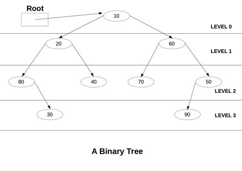 Data Structure Rooted Binary Tree An Overview