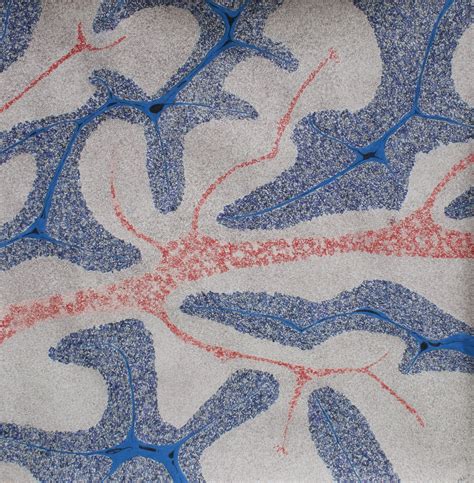 Jody Rasch Artists Lamina Project Art Inspired By Science