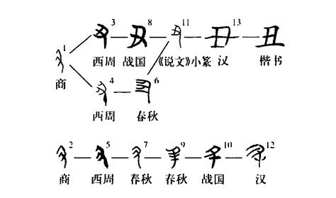 细说汉字：丑 甲骨文