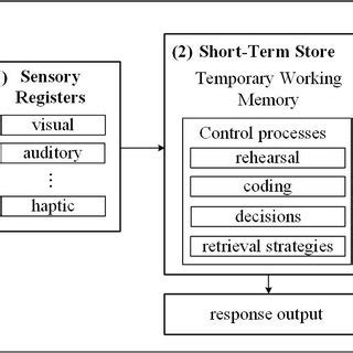 Information Processing Flow Download Scientific Diagram