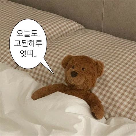 멋쟁이 사자처럼 백엔드 스쿨 2기 합격과 그 이후 이야기