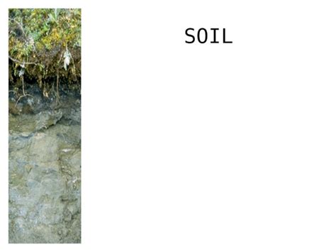 Ppt Soil Texture By Feel Fine Textured Soil Large Amounts Of Silt