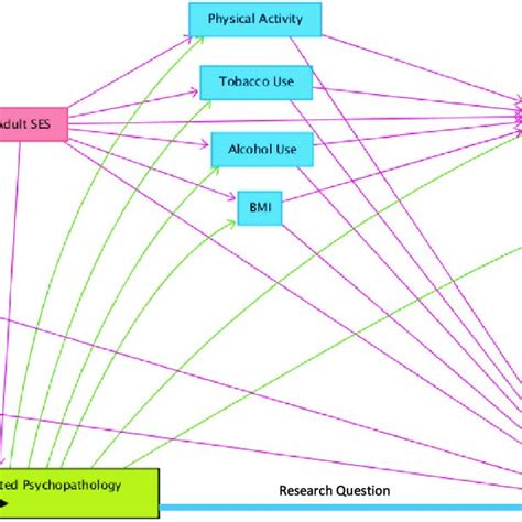 Directed Acyclic Graph Depicting The Relationships Between Stress And