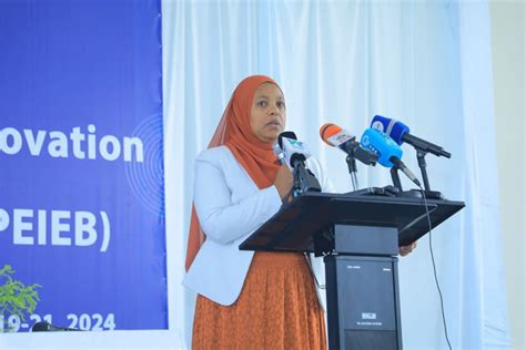 የምንገኝበት ምዕራፍ የእሳቤና የአሰራር ለውጥ ይፈልጋል፡፡ ክብርት ወ ሮ ሙፈሪሃት ካሚል የሥራና ክህሎት ሚንስትር በዘርፉ የፐብሊክ ኢንተርፕረነርሺፕ እና