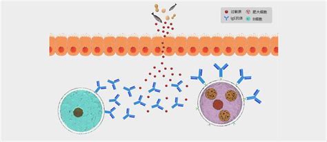 荨麻疹为何晚上会比白天更痒呢?夜晚加重的原因是这些!夜间 荨麻疹为何晚上会比白天更痒呢?夜晚加重的原因是这些!夜间