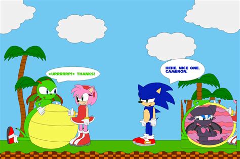 Cameron Ate Ninja Rouge By Steviethehedgehog On Deviantart