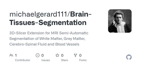 github michaelgerard111 brain tissues segmentation 3d slicer