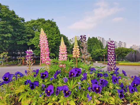 부정적인 감정을 다루는 방법 내 몸마음의 관찰 결과