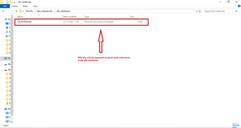 how to export pfx file using cer in iis best 2 methods developers tutorial