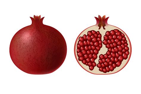 석류 세트입니다 흰색 배경에 루비 다채로운 석류와 전체 둥근 과일의 고립 된 절반 붉은 씨앗석류의 현실적인 색깔의 조각 0명에