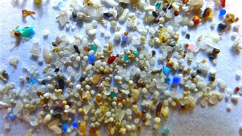 Microplastics The What Where Why And Impact Biocycle
