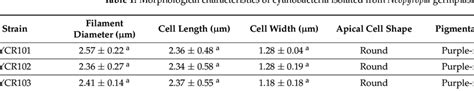 Morphological Characteristics Of Cyanobacteria Isolated From Neopyropia