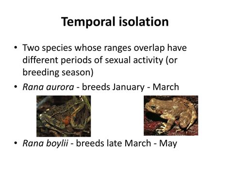 Temporal Isolation Definition