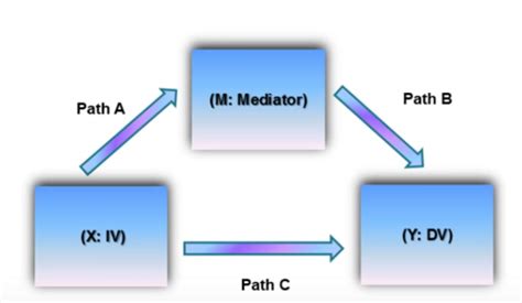 Correlation Partial Correlation Regression And Mediation Flashcards