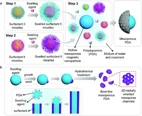 Schematic Diagram Of The Preparation Of Mesoporous Polydopamine A Dual